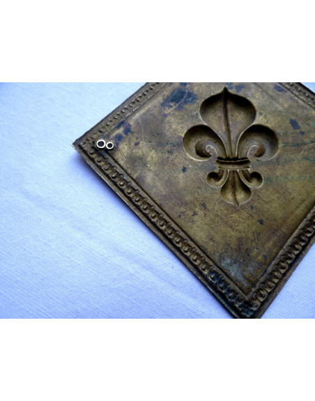 PLAQUE DE SHAKO OFFICIER DES VOLONTAIRES ROYAUX 1815.